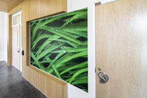 Nature Images Provide Healing, Wayfinding at Newly Remodeled Fulton ...