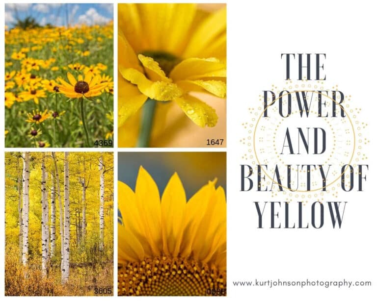 Which Color is the Most Noticeable? - Kurt Johnson Photography