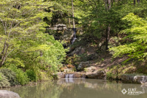 The Benefits of Waterfall Images in Healthcare Design - Kurt Johnson ...