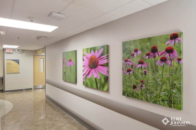 Good Things Come in Threes. Using Triptych Nature Art to Improve ...