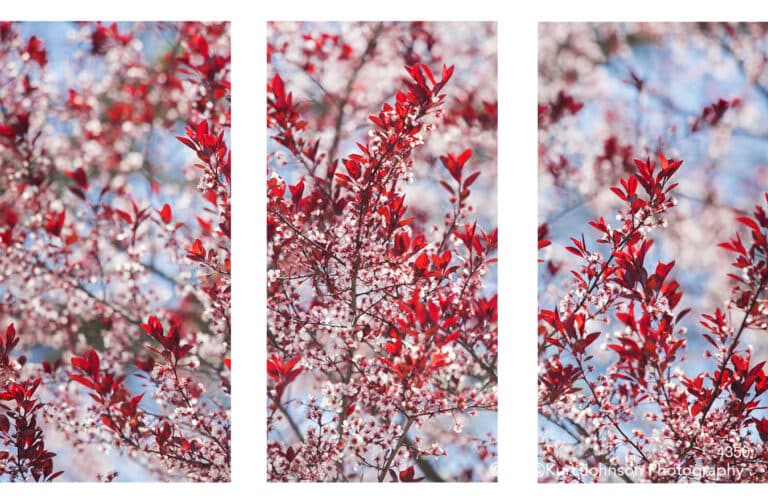 Good Things Come in Threes. Using Triptych Nature Art to Improve ...