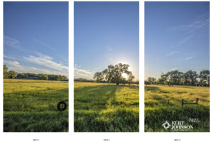 Good Things Come in Threes. Using Triptych Nature Art to Improve ...