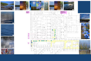 How to Put More Healing Power in Wayfinding - Kurt Johnson Photography