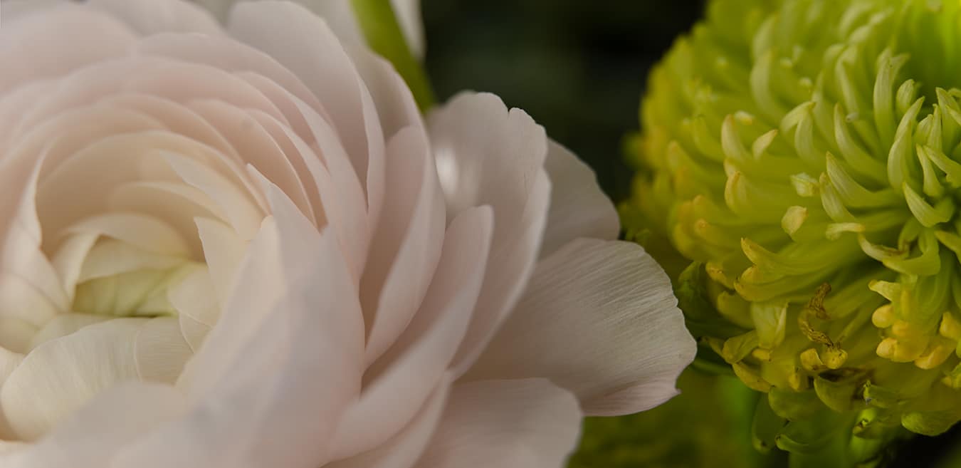 Flower Pan-1 - Kurt Johnson Photography