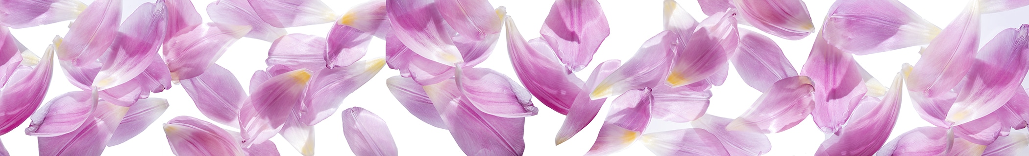 Flower Petal Pan - Kurt Johnson Photography